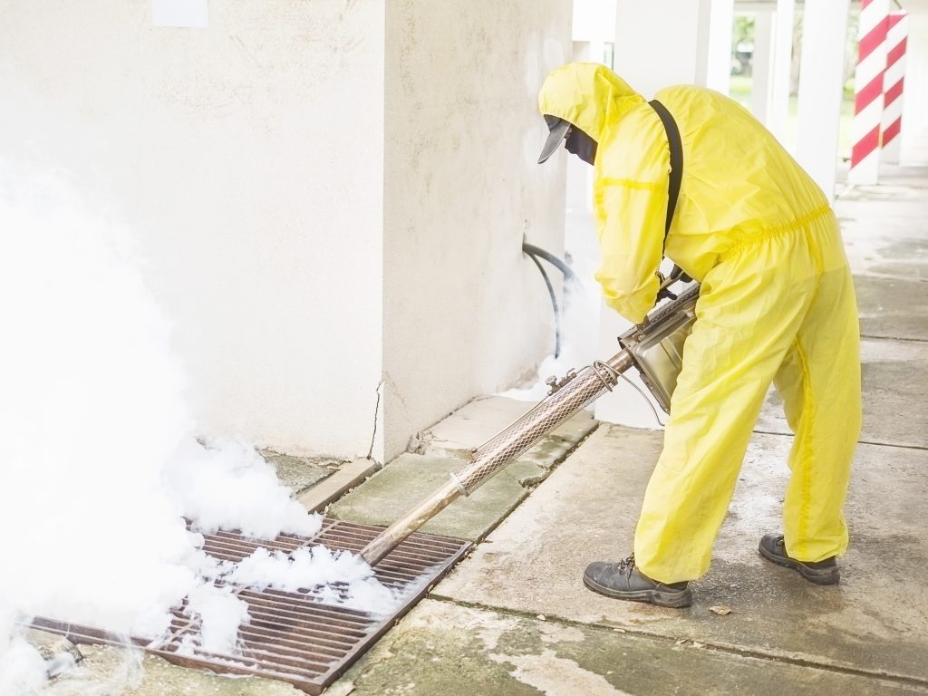 Effective Mold Removal in Naples, FL: A Step-by-Step Guide - QCI ...