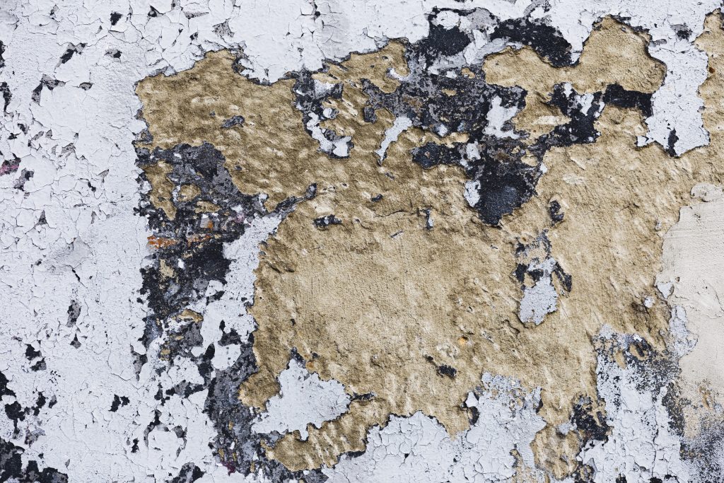 Understanding Mold Toxicity: What Are the Symptoms? - QCI Restoration ...