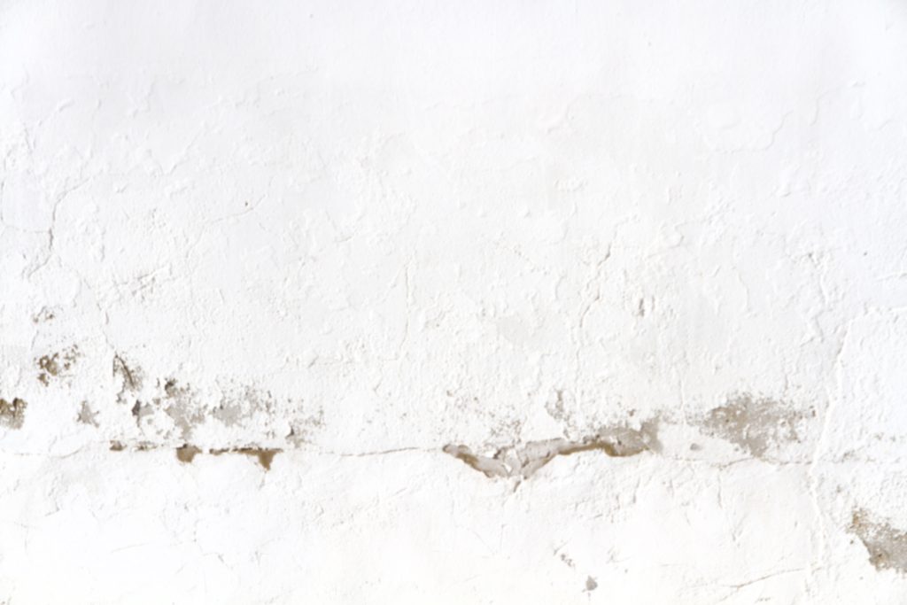 How to Identify Hidden Mold in Your Home - QCI Restoration Experts